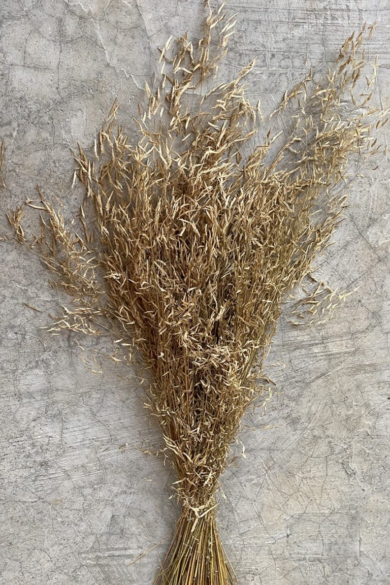 Mini Grass Natural - naman project