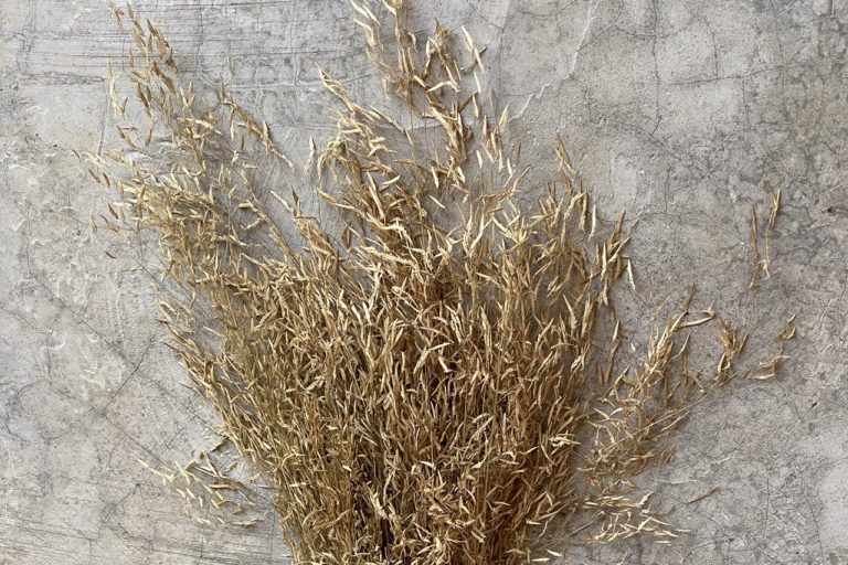 Mini Grass Natural - naman project