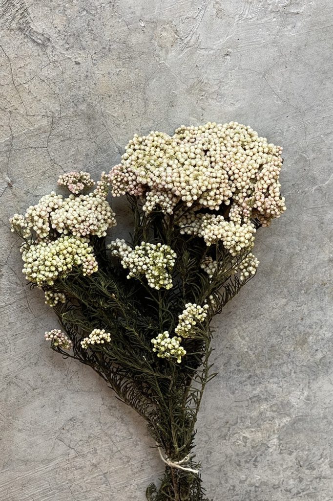 Rice Flower - naman project