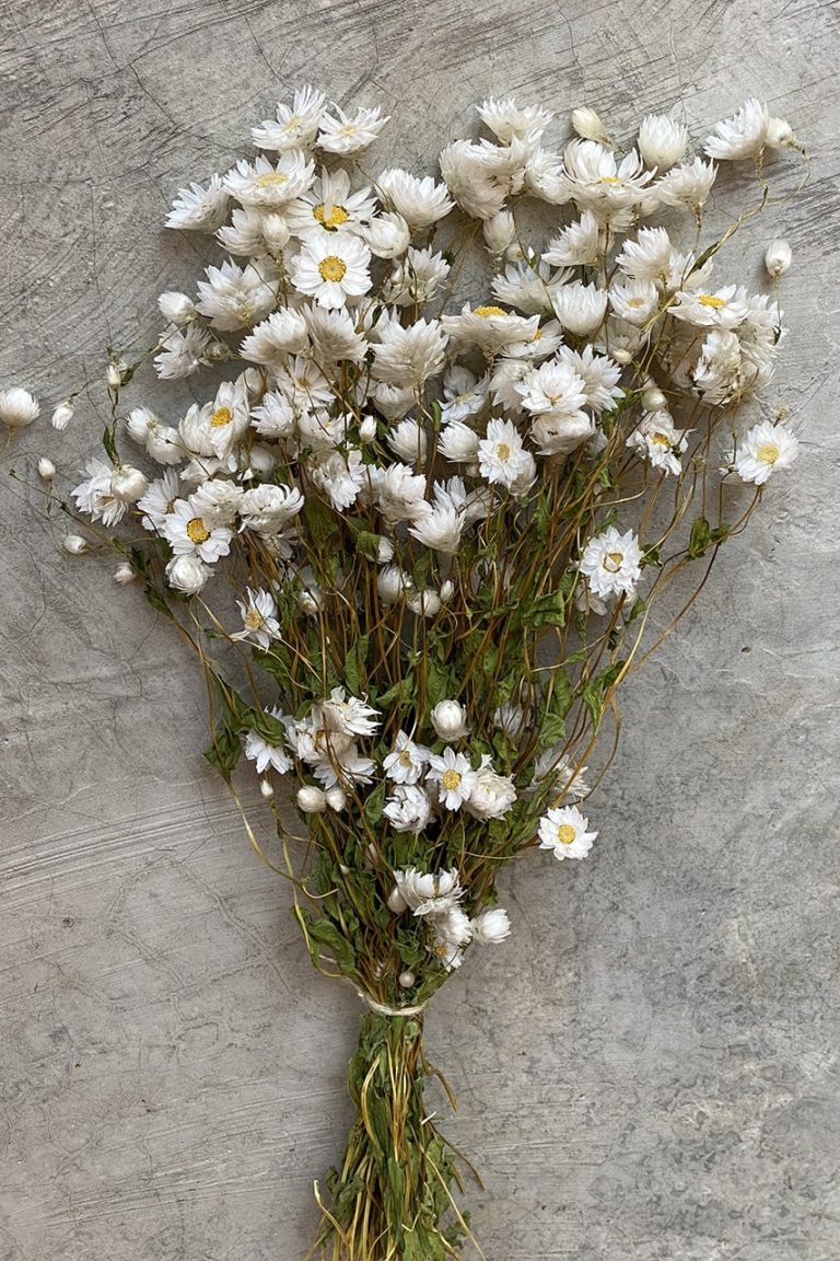 Rodanthe White - naman project