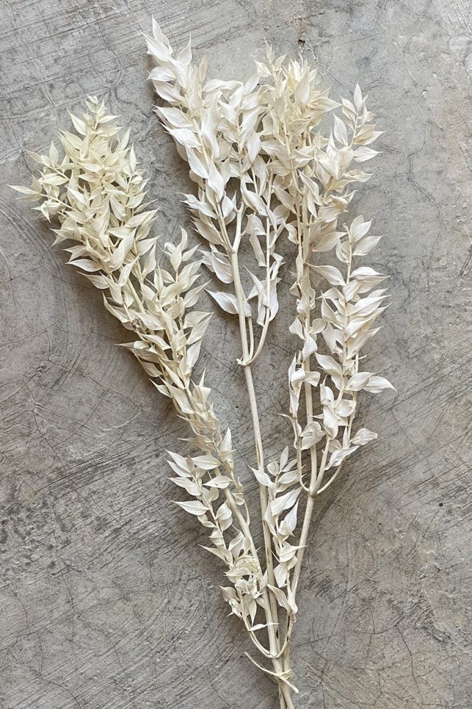 Ruscus White - naman project