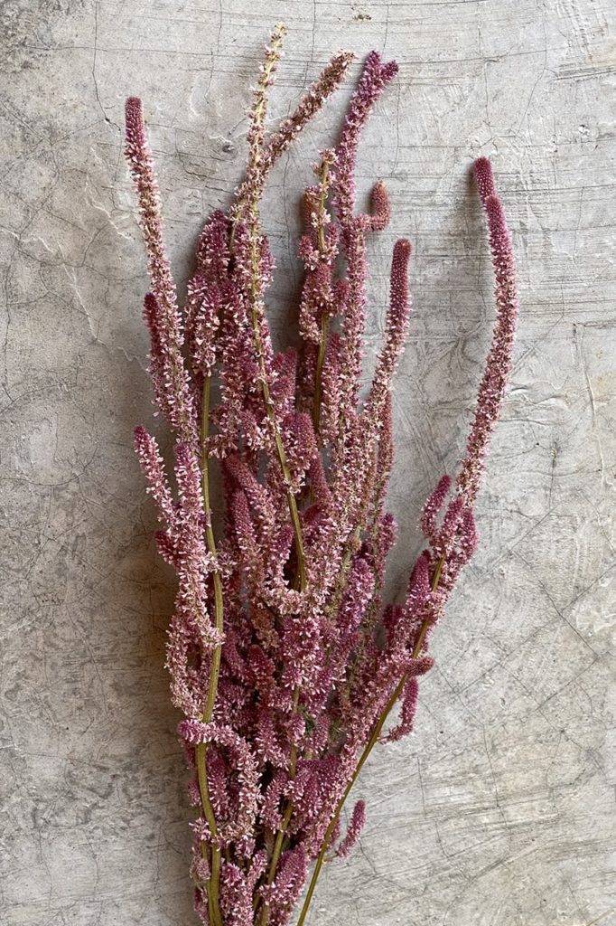 Statice - naman project