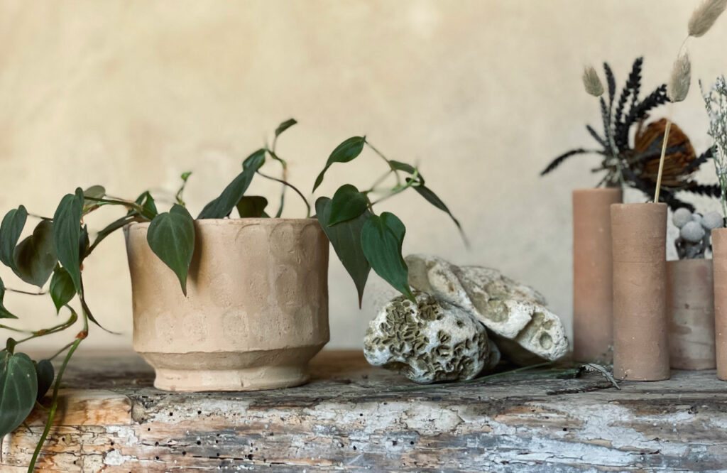 Ditta - naman project