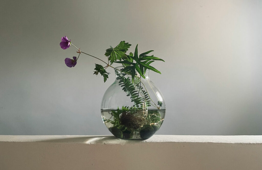 Nemo - naman project