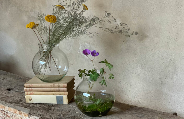 Nemo - naman project