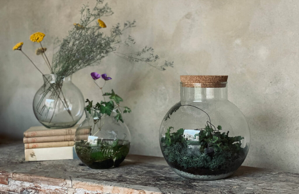 Nemo - naman project