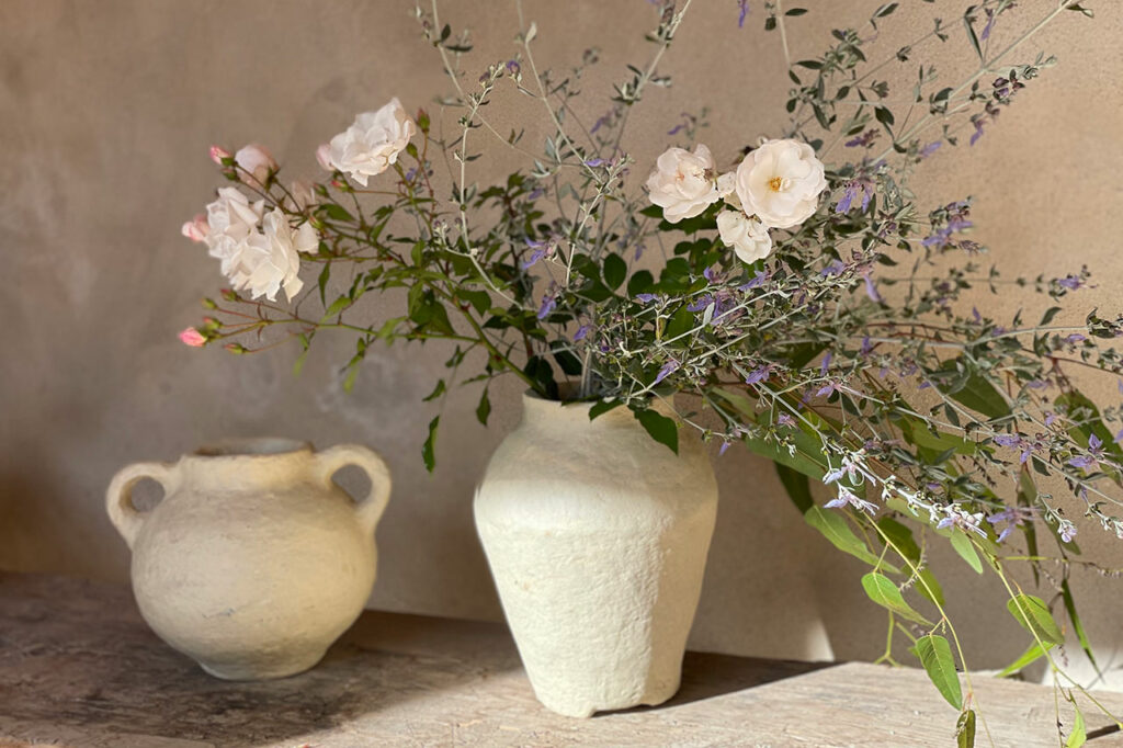 Acer - naman project