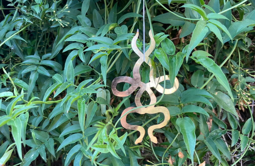 Snake - naman project