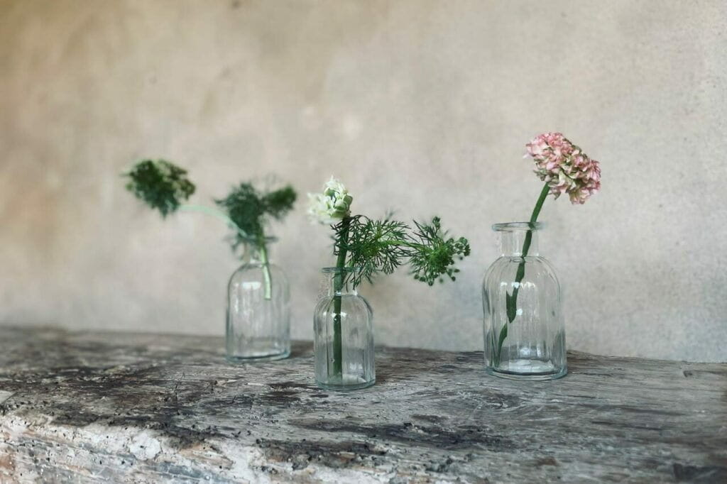 Nora - naman project