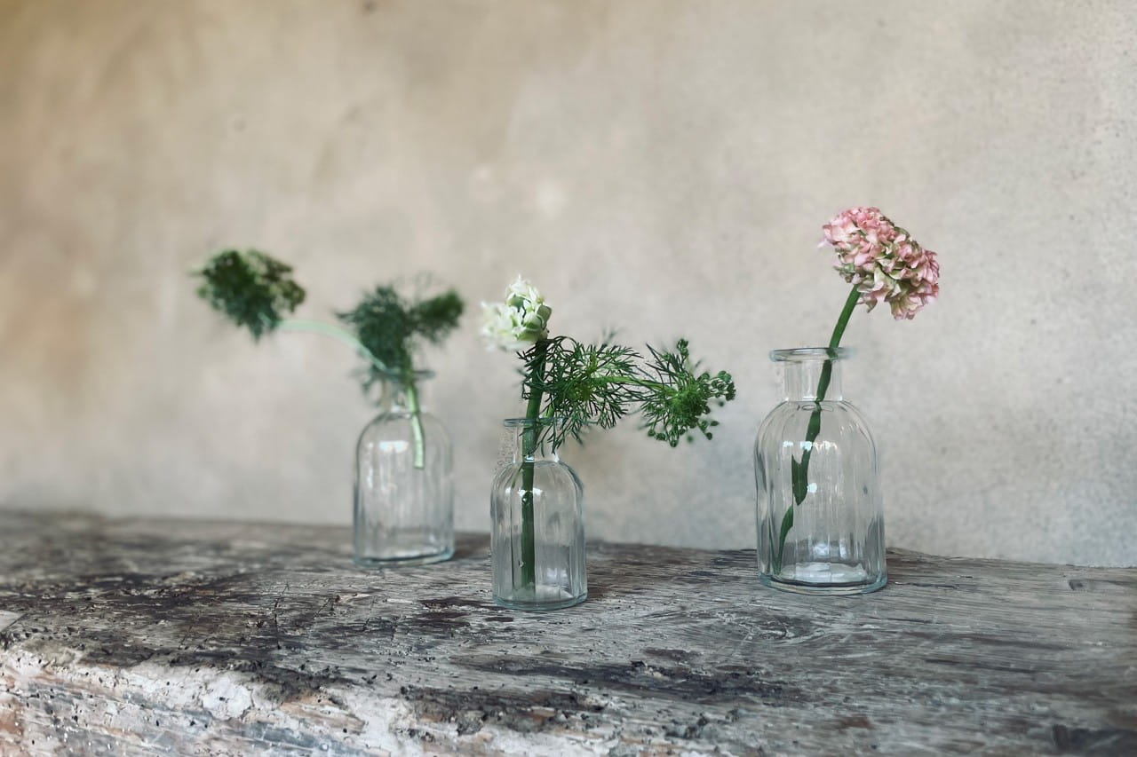 Nora - naman project