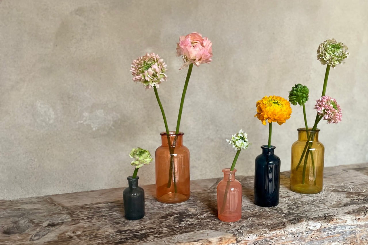 Gama - naman project