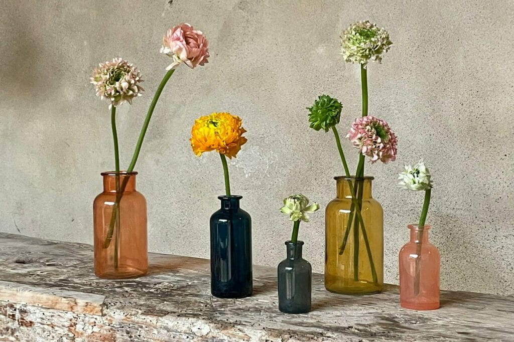 Gama - naman project