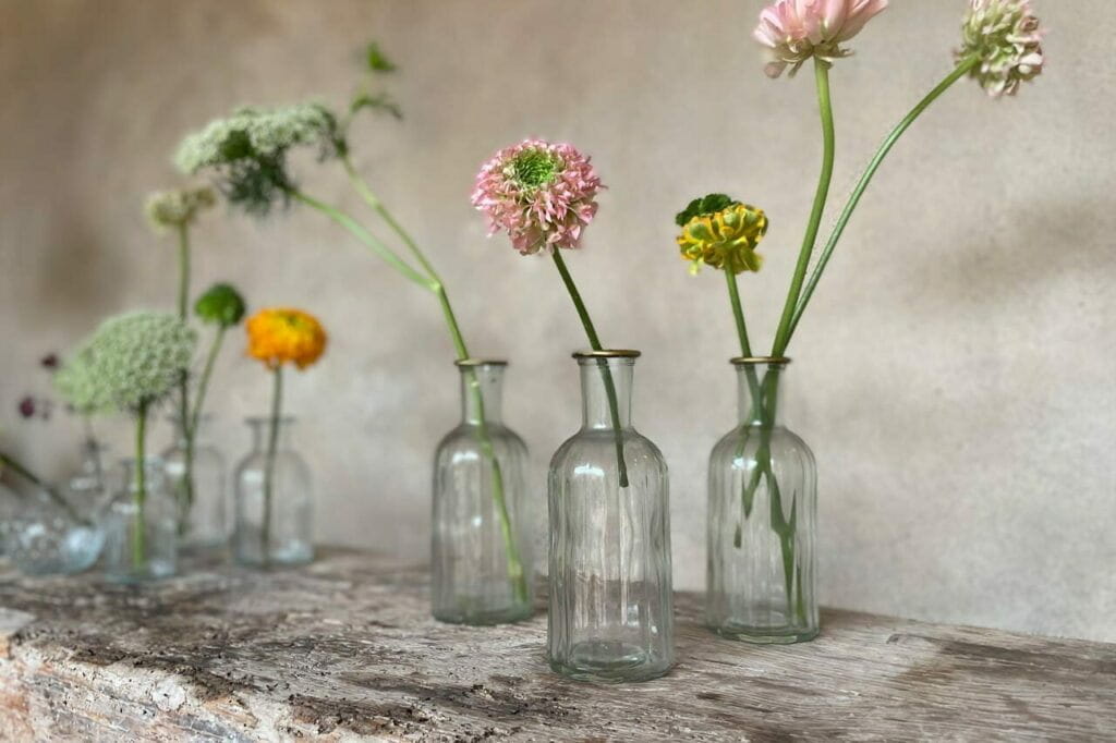 Nora L - naman project