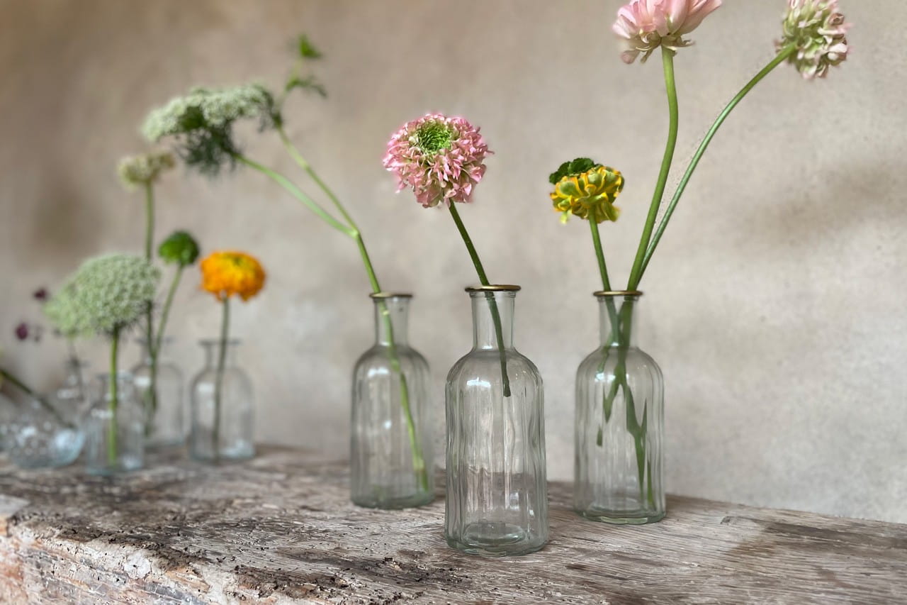 Nora L - naman project