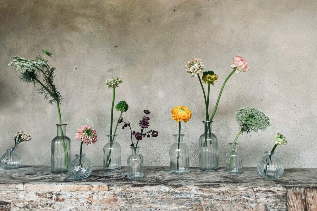 Nora - naman project